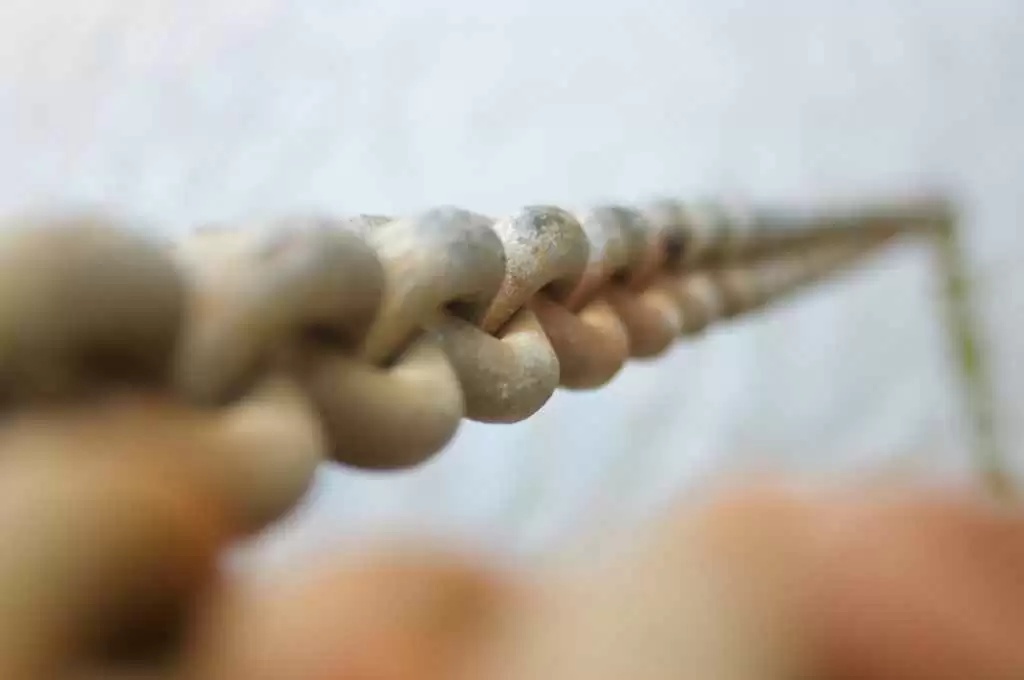 What Can Genome-wide Pleiotropy Teach Us About Parkinson Disease and ...